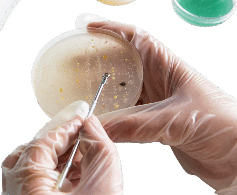Anti-Aging & Stem Cells Therapy in Miami | Vitality Healthcare Group